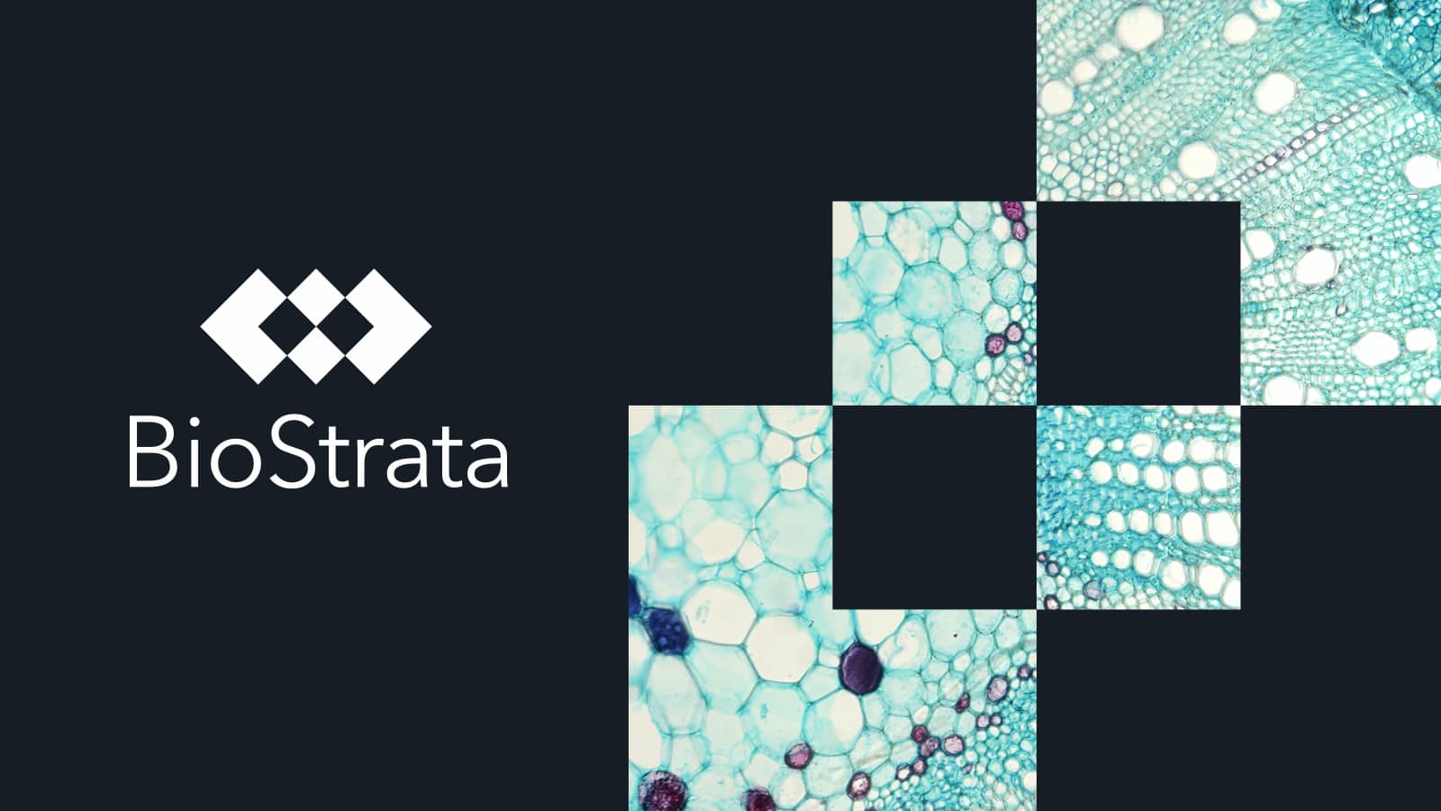Contact the BioStrata Team | Life Science Marketing Specialists